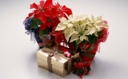 1001 + idee regalo natale: dal fai da te al low cost, tante proposte ...